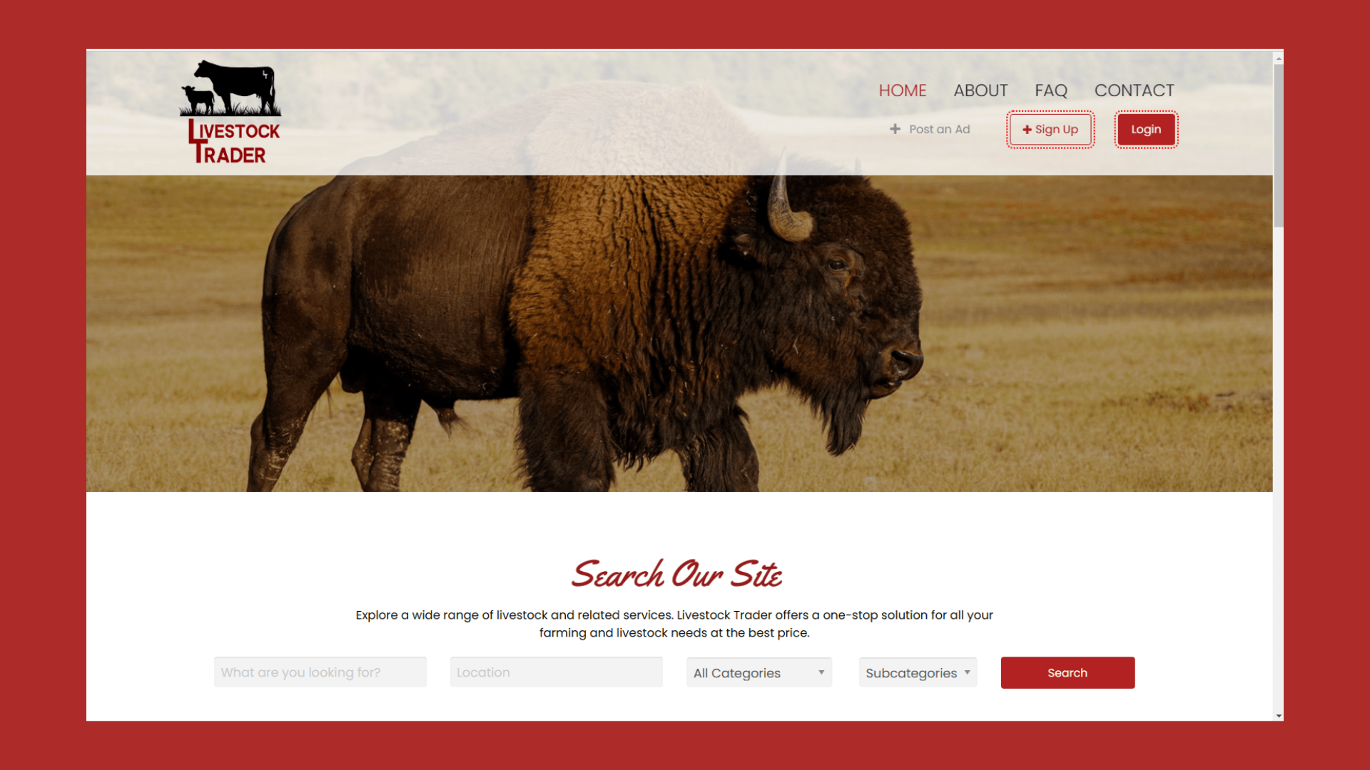 Zehra Jabeen | Digital Marketer